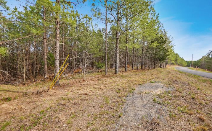 18 Ribbon Branch Road, Dover, TN 37058 | Crexi.com