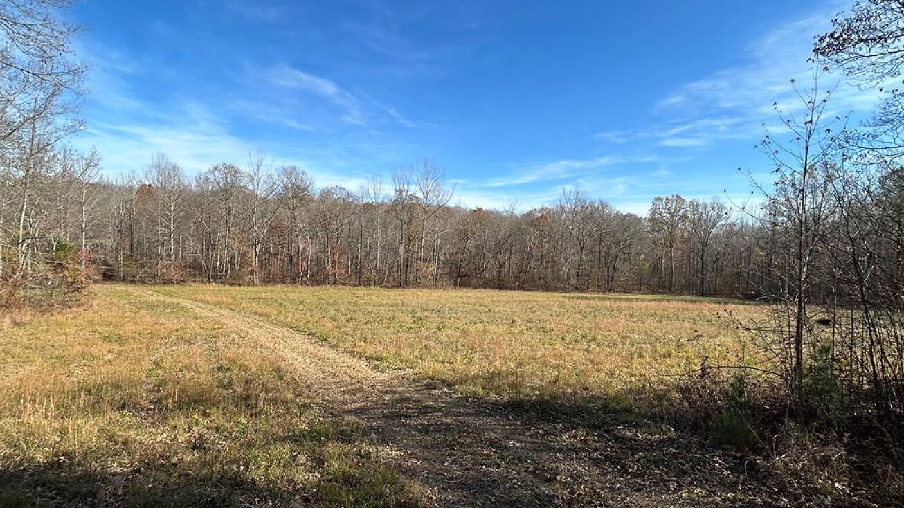 0 Off Of Sulphur Creek Rd, Big Sandy, TN 38221 | Crexi.com