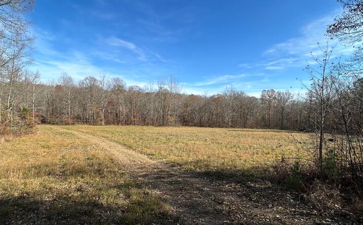 0 Sunset Ridge, Waverly, TN 37185 | Crexi.com