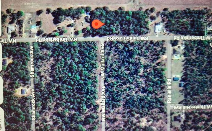 00 NW Nw Timberlake Road Road, Dunnellon, FL 34431 | Crexi.com