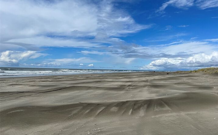 30 S State Route 105, Grayland, WA 98547 | Crexi.com