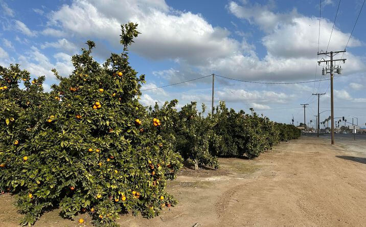 Highway 65 Citrus Ranch, Ducor, CA 93218 | Crexi.com