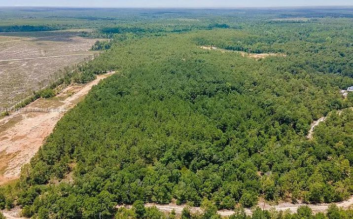 Godwin Rd, Other City - In The State Of Florida, FL 32351 | Crexi.com