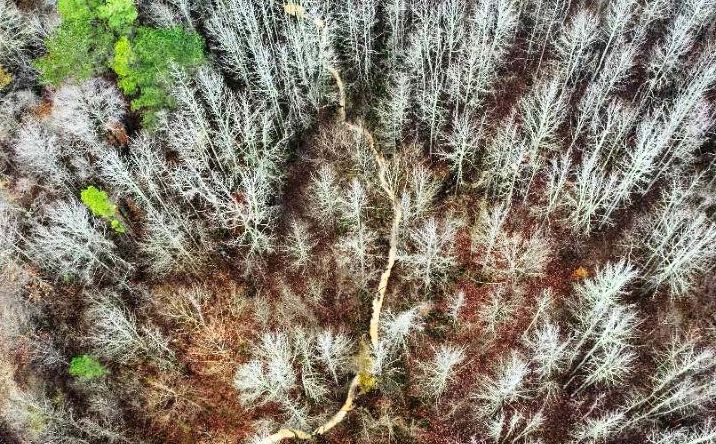 2112 Ward Lane, Grenada, MS 38901 | Crexi.com