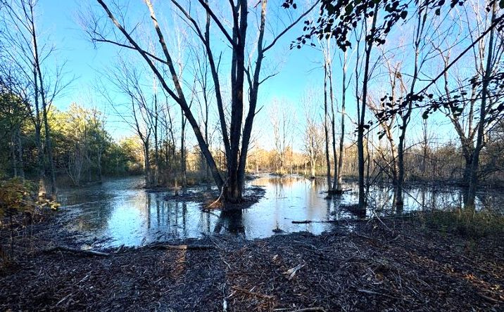 21.6 Acres, Falcon, MS 38670 | Crexi.com