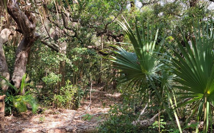 350 Indian Mound Drive, Melbourne, FL 32951 | Crexi.com