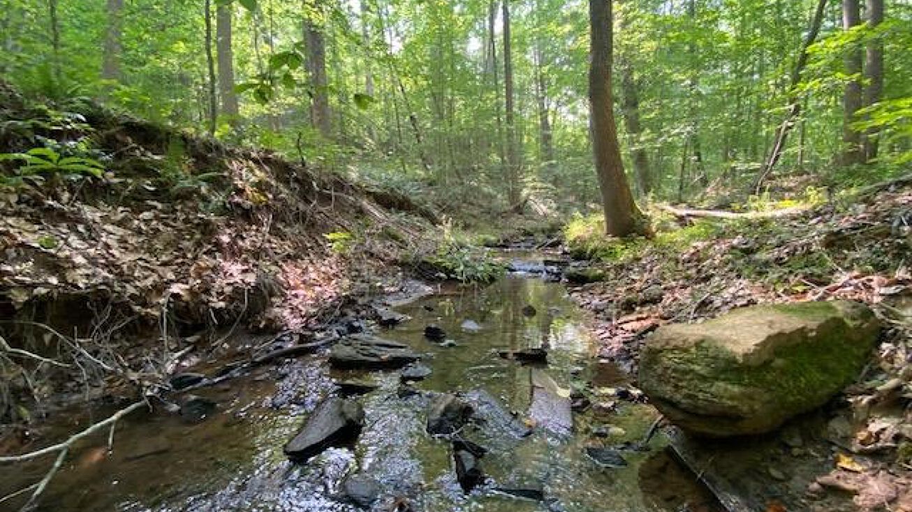 Birch Elmo Rd, Sutherlin, VA 24592 | Crexi.com