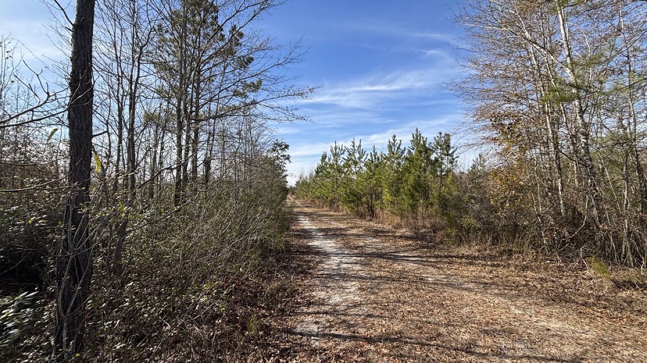 US-15, Holly Hill, SC 29059 | Crexi.com