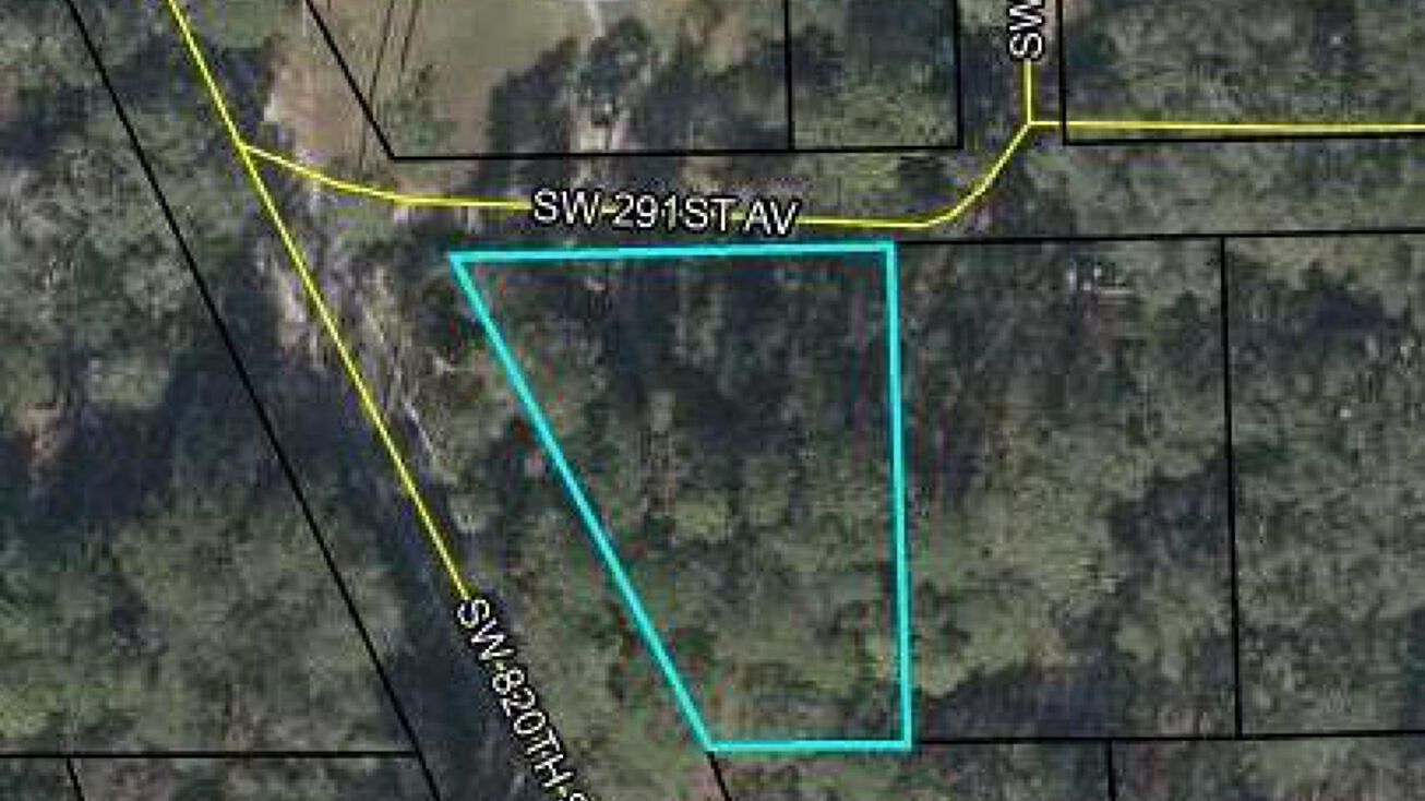 SW 291st Ave, Jena, FL 32359 | Crexi.com