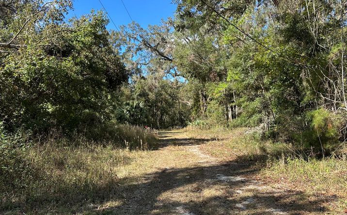 81 NE 58th Ave, Old Town, FL 32680 | Crexi.com