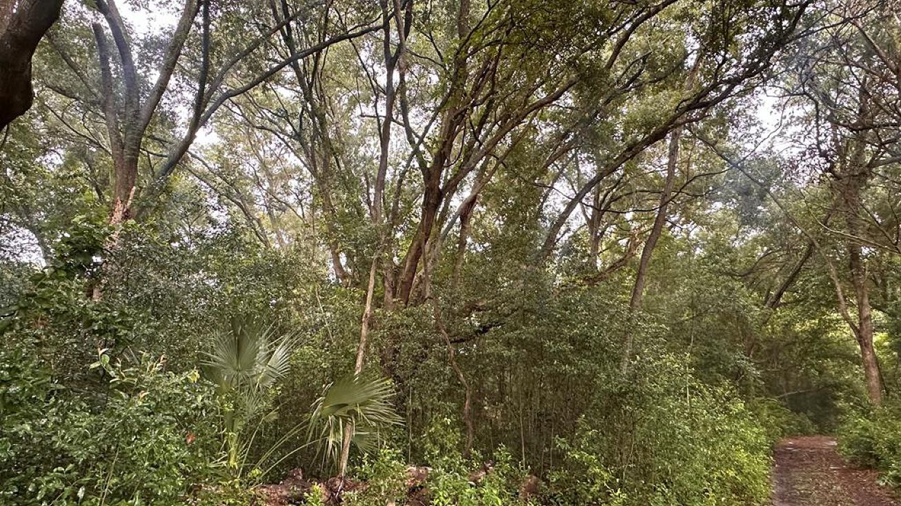 000 NE 30th Pl, Williston, FL 32696 | Crexi.com