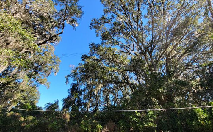 000 N Us Hwy 441, High Springs, FL 32643 | Crexi.com