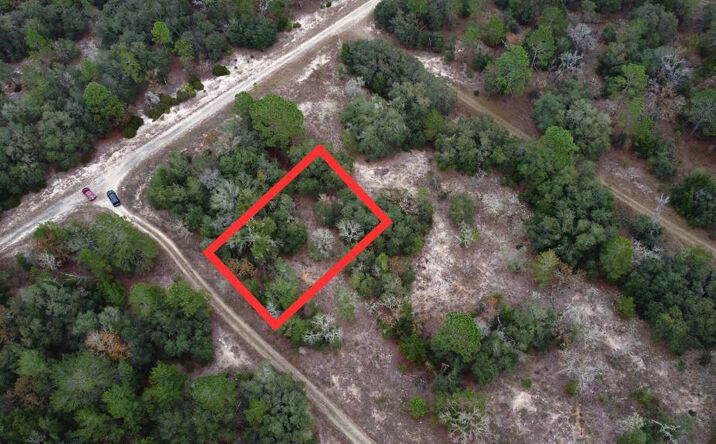 00 NE 147th Ter, Williston, FL 32696 | Crexi.com