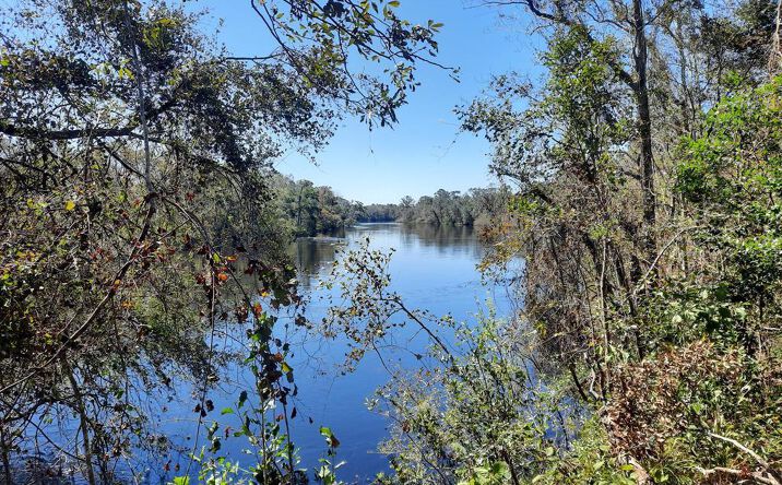 TBD SW Running Springs Dr, Live Oak, FL 32060 | Crexi.com