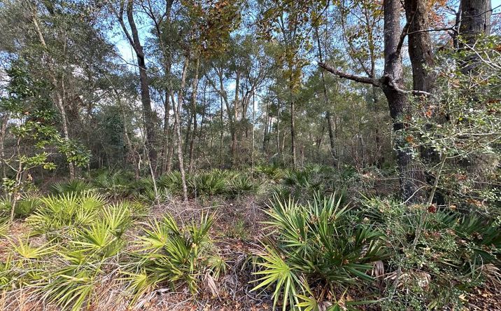 TBD NW 47th Ter, Chiefland, FL 32626 | Crexi.com