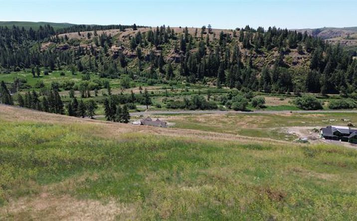 LOT 32 RED TAIL RIDGE Colfax WA 99111 APN: 200004417314890 | Crexi.com