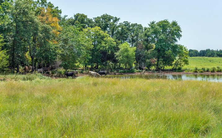 TBD CR 103 Whitesboro TX null | Crexi.com TBD CR 103 Whitesboro TX null | Crexi.com