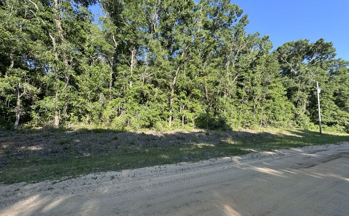 Walker Dr, 32148, FL 32148 | Crexi.com