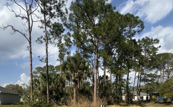 443 Wayland Road SW, Palm Bay, FL 32908 | Crexi.com
