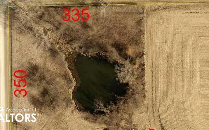 Connie Cavanaugh - Team Real Estate | Crexi