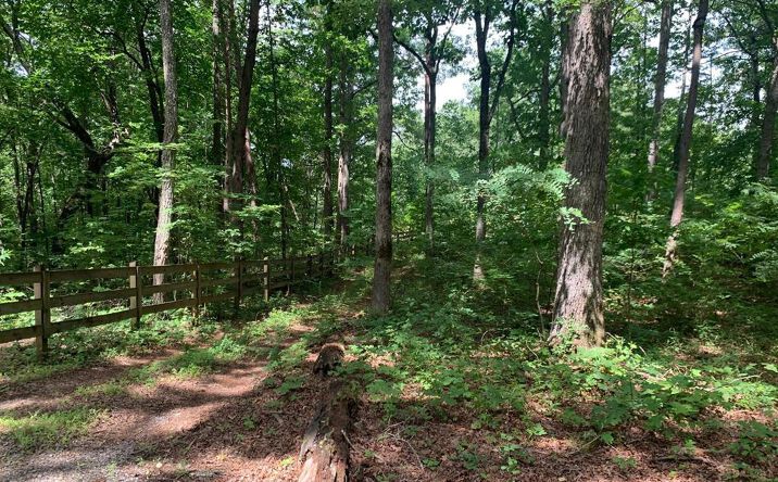 Lot 89 Broken Bow Trail, Young Harris, GA 30582 | Crexi.com