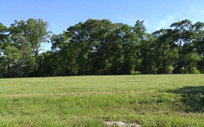 Lot40 Fallen Leaf Dr, Poplarville, MS 39470 | Crexi.com