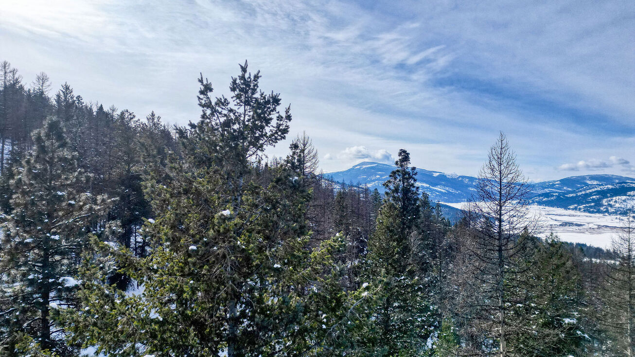 386 Racheals Meadow Lane, Kila, MT 59920 | Crexi.com