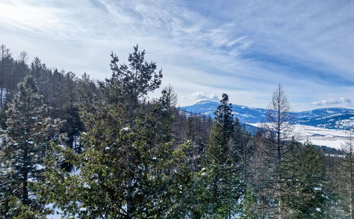 386 Racheals Meadow Lane, Kila, MT 59920 | Crexi.com