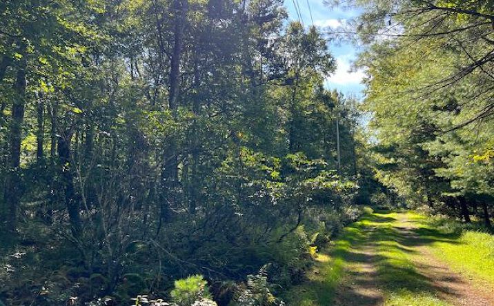 Proctor Rd, Glen Spey, NY 12737 | Crexi.com