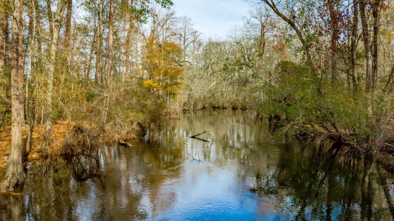 McKays Bridge Rd, Little Rock, SC 29567 | Crexi.com