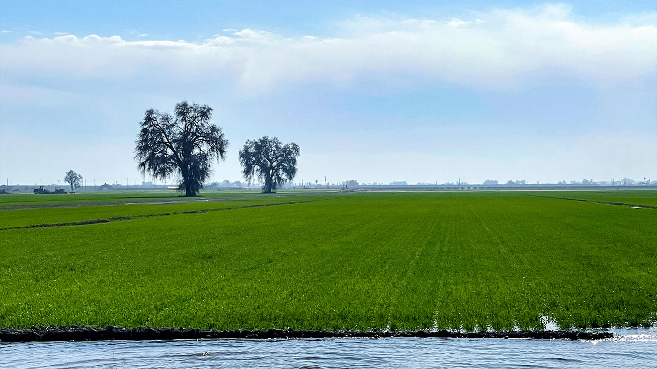 See brochure for location, San Emidio, CA 93311 | Crexi.com