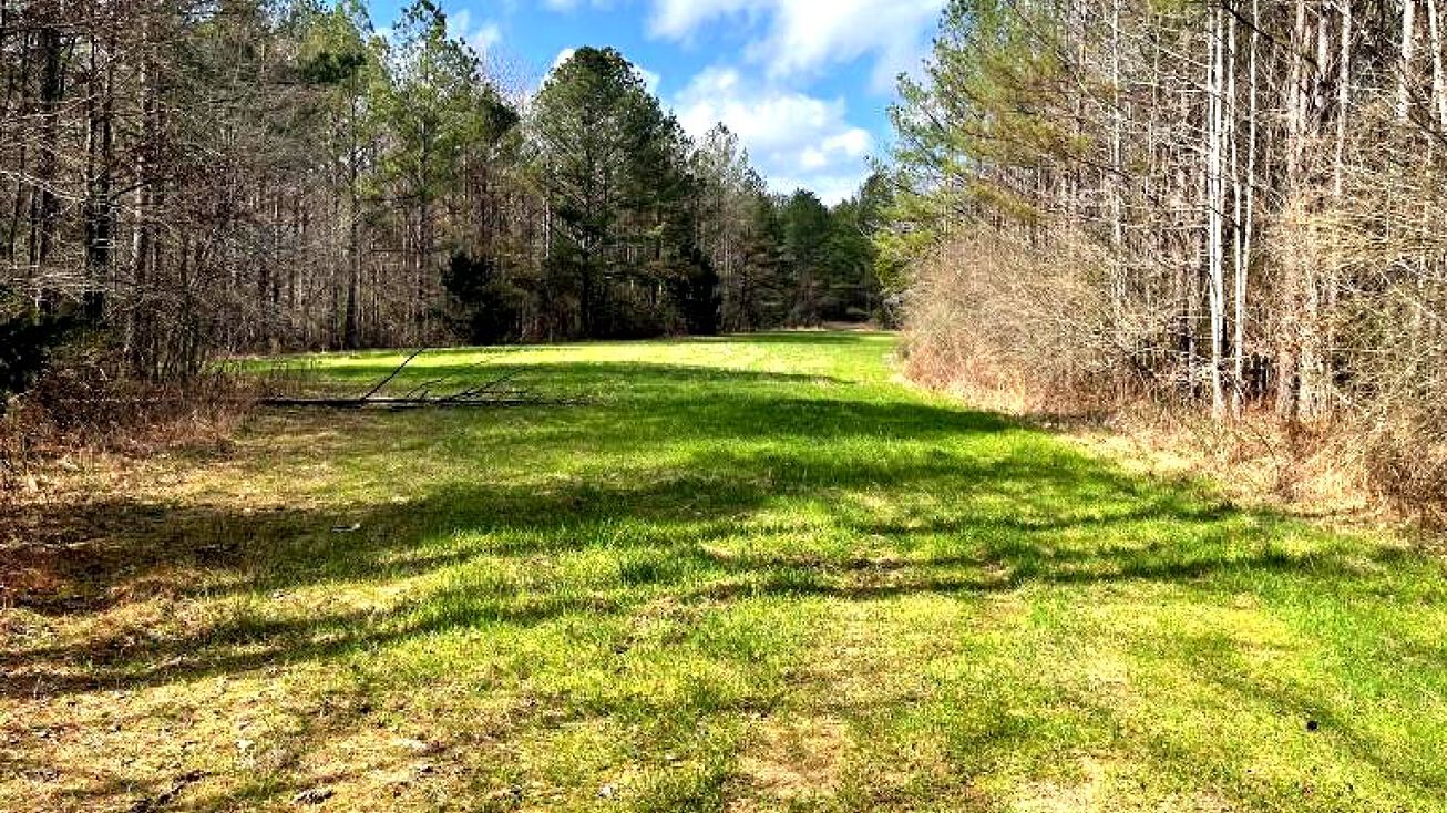 160 Acres in Leake County, Thomastown, MS 39090 | Crexi.com