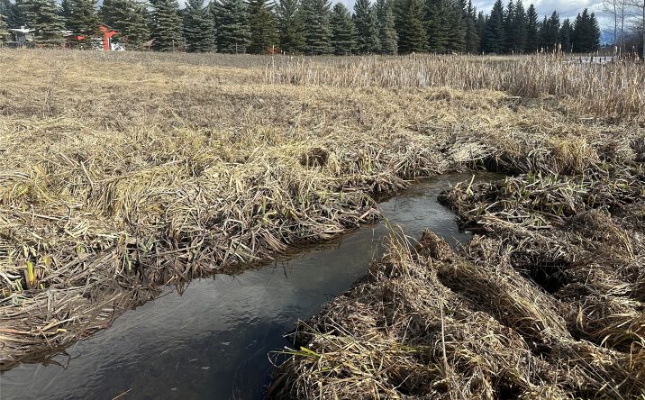 NHN 2 Mile Drive, Kalispell, MT 59901 | Crexi.com