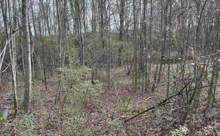 001 County Road 51, Rogersville, AL 35652 | Crexi.com