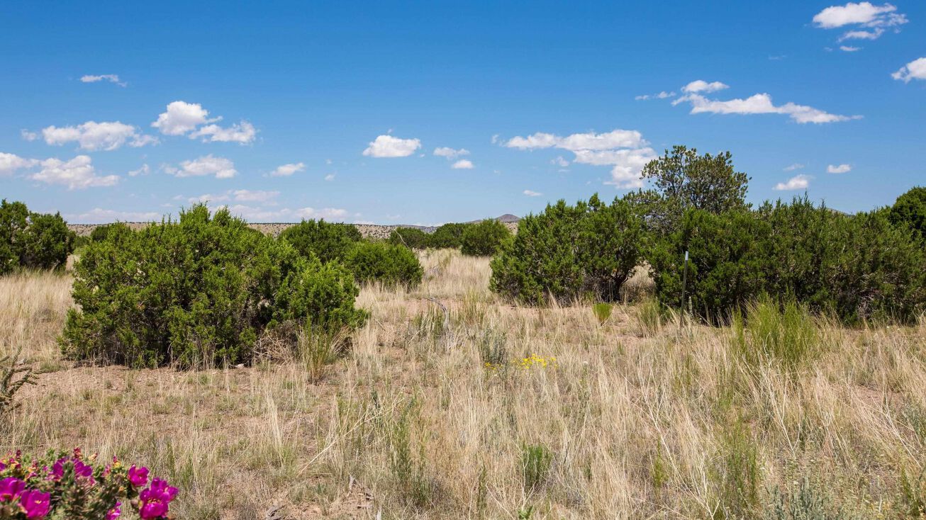 58 Pinon Springs Ranch, Magdalena, NM 87825 | Crexi.com