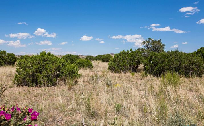 58 Pinon Springs Ranch, Magdalena, NM 87825 | Crexi.com