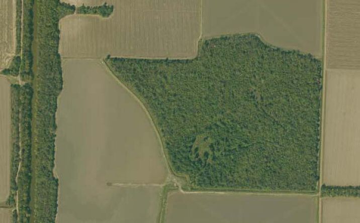 McMillan Corner 198, Jennie, AR 71653 | Crexi.com