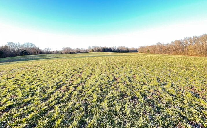 00 Vildo Rd and Armour Ln, Whiteville, TN 38075 | Crexi.com
