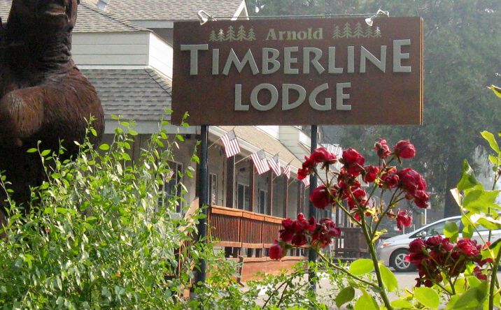 890 CA-4, Arnold, CA 95223 | Crexi.com