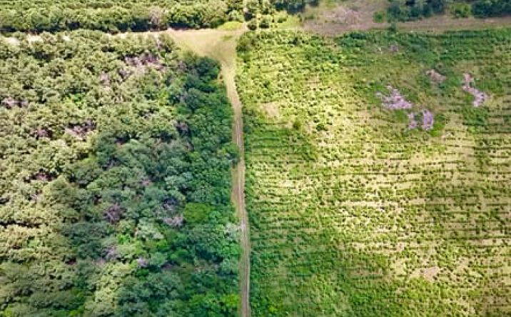 Hempstead 16 Rd, Hope, AR 71801 | Crexi.com