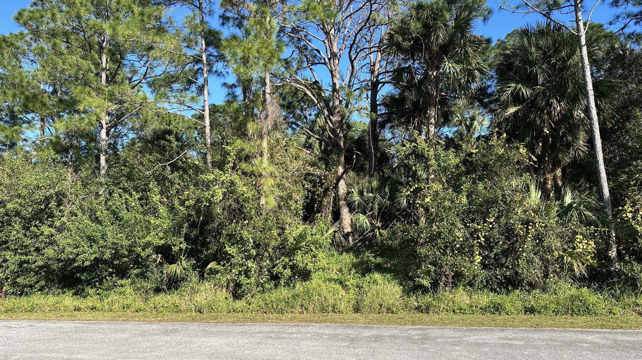 239 Trembley Avenue SW, Palm Bay, FL 32908 | Crexi.com