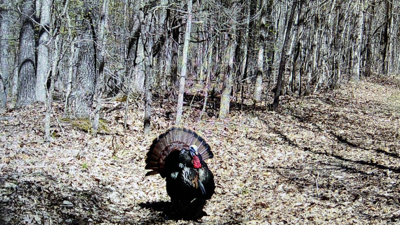 0 Bowman Road, Medon, TN 38356 | Crexi.com