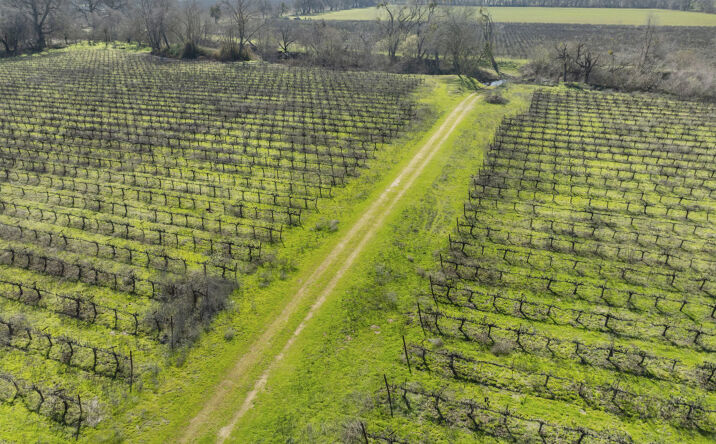 3900 Jackson Valley Rd, Ione, CA 95640 | Crexi.com