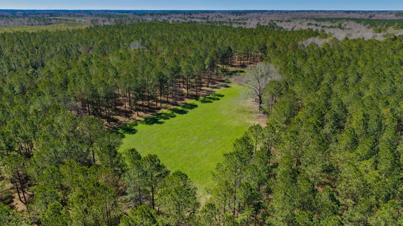 5455 Harrison-Davisboro Rd, Davisboro, GA 31018 | Crexi.com