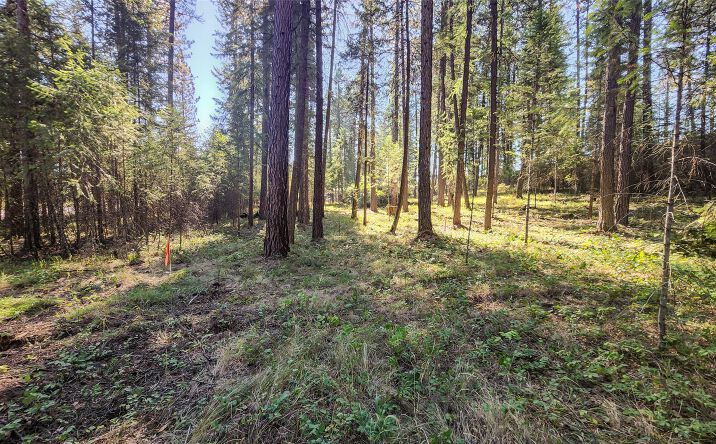 1505 Kootenai River Road, Libby, MT 59923 | Crexi.com