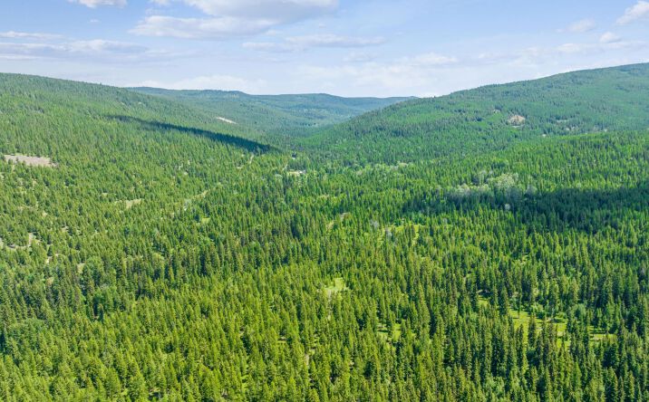 nhn Pinkham 160 acres Road, Rexford, MT 59930 | Crexi.com