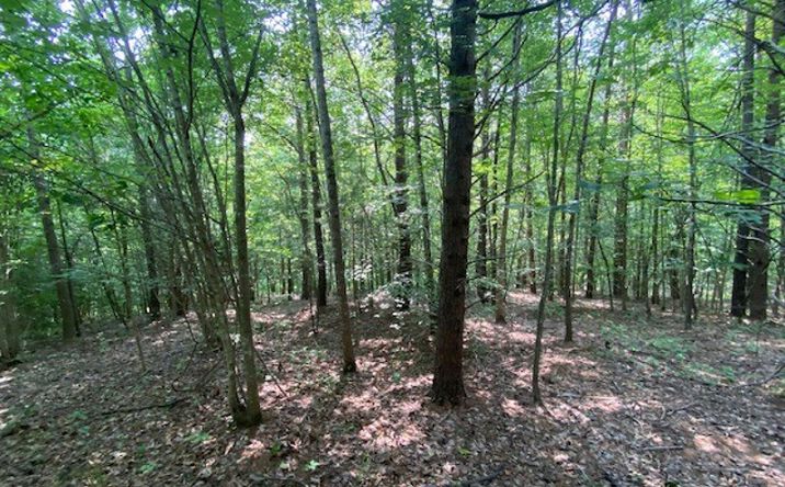 Birch Elmo Rd, Sutherlin, VA 24594 | Crexi.com