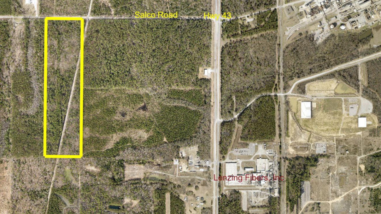 Salco Rd W, Axis, AL 36505 | Crexi.com