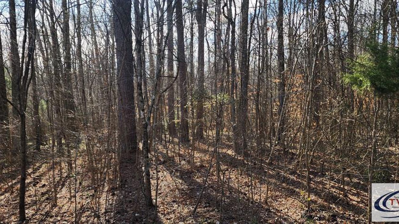 895 Hyatt Rd, Holladay, TN 38341 | Crexi.com