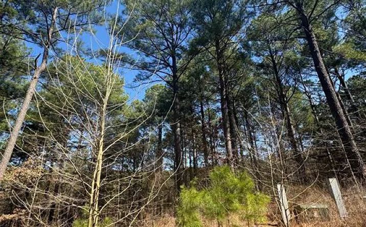 87 Blue Maple Trail, Broken Bow, OK 74728 | Crexi.com